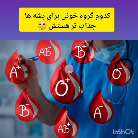 چرا پشه ها بعضی آدم ها بیشتر نیش میزنن؟🤔 خونگروهخونیبیماریخونی