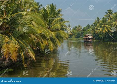 Remansos De Kerala La India Foto De Archivo Imagen De India Verde
