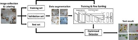 Figure 1 From Moth Detection From Pheromone Trap Images Using Deep Learning Object Detectors