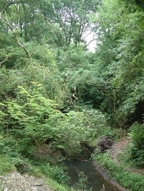 Chewton Bunny Stuart Buchan Geograph Britain And Ireland