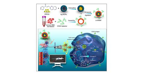 Smart Biomimetic Nanocomposites Mediate Mitochondrial Outcome Through