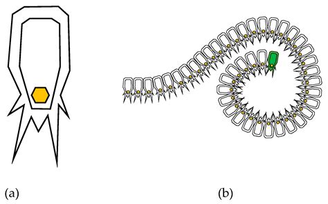 Sensors Free Full Text Multi Robot Exploration Of Unknown Space Using Combined Meta