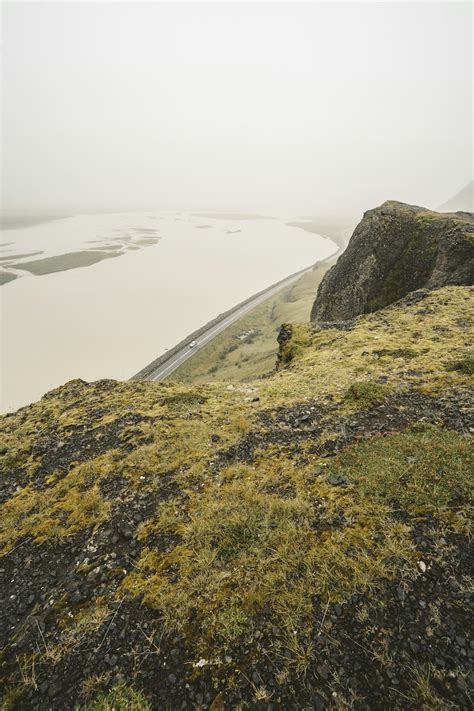 물이 내려다보이는 풀이 무성한 언덕 위의 외로운 나무 사진 Unsplash의 무료 자연 이미지