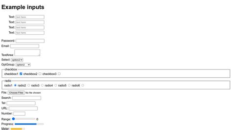 Html Input