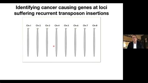 2021 12 16 Crispr And Transposon Based Screens For Cancer New Drug