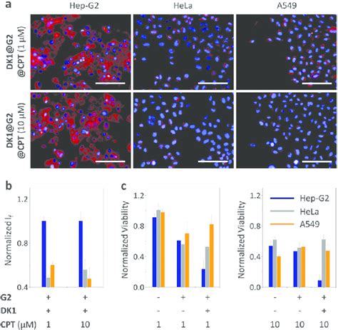Imagej Measuring Fluorescence Intensity
