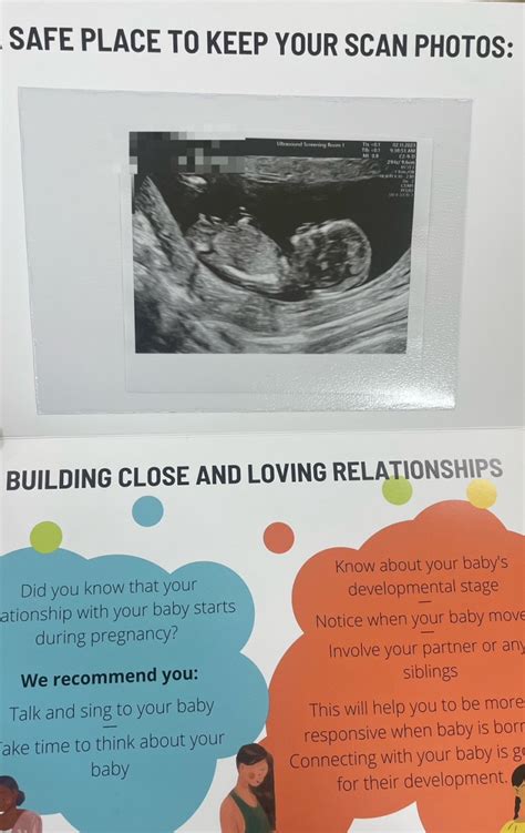 [영국 임신 출산기] [임신12주차] 1차 기형아 검사 방법 다운증후군 에드워드증후군 파타우증후군 전자간증 임신중독증 위험 네이버 블로그