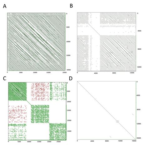 Higher Order Organization Of 5s Rdna Arrays In E Lucius Self To Self Download Scientific