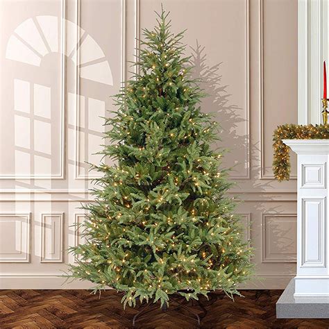 Outdoor Encryption Simulation Christmas Tree Cmpe Mixed High Grade