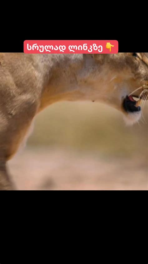 სრულად 👉 Watchv 6tazyhb R50 პლანეტა დედამიწა Planet Earth Facebook