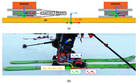 A Load Cells Position With Respect To Ski B Assembled System With Download Scientific
