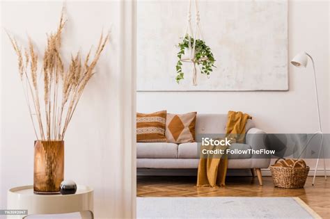 디자인 회색 소파 꿀 노란색 베개 흰색 스탠드 램프 바구니 꽃병 식물과 우아한 개인 액세서리와 아늑한 아파트에서 거실의 디자인 보헤미안 인테리어 템플릿 소파에 대한 스톡