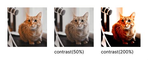 Как добавить картинке фильтры Css свойство Filter — журнал «Доктайп