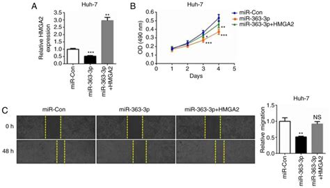 Molecular Medicine Reports