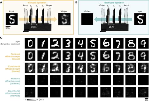 Experimental Results A And B Layout Of The Diffractive Download Scientific Diagram