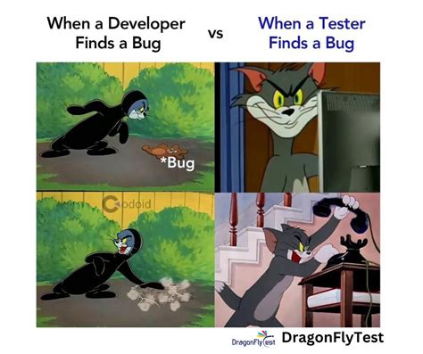 Dragonfly Testing Solutions Private Limited On Linkedin Softwaretesting Memes