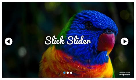 lazy loading images using slick slider by solodev medium