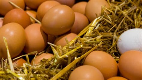 Stat Transfer Variables In Rows Not Columns Elitegasw