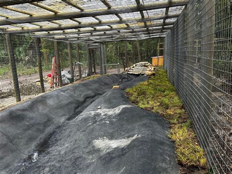 Gator Chris Gator Chris Added A New Photo