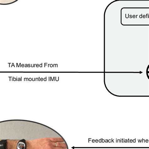 Block Diagram Of Real Time Haptic Feedback System Download Scientific Diagram