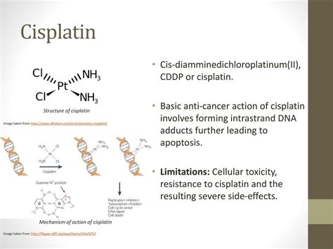 Meet Ms B Ppt Download