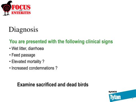 PPT Understanding The Enteritis Syndrome A Guide To Diagnosis PowerPoint Presentation ID