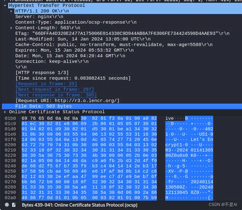【网络技术】【kali linux】wireshark嗅探（九）安全协议（协议） kail2024怎么抓包tls csdn博客