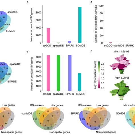 analyses of sv gene identification algorithms using breast cancer