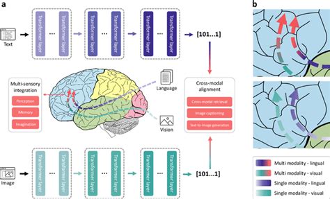 Multimodal Foundation Models Are Better Simulators Of The Human Brain