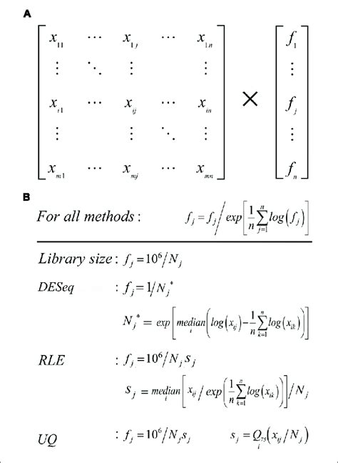 Basic Concepts A A Raw Gene Expression Matrix Can Be Transformed