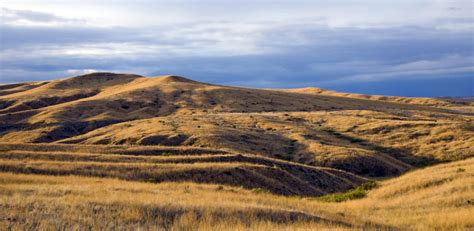 Northern Great Plains Program Awards 41 Million To Conserve Grassland