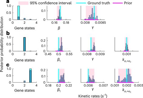 Accurate Inference For A Variety Of Gene Expression Models Derived From