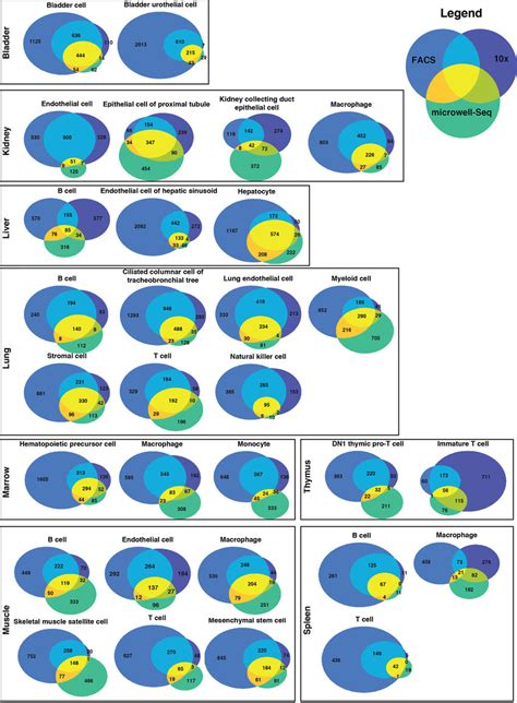 The Number Of Differentially Expressed Genes For Each Cell Type That