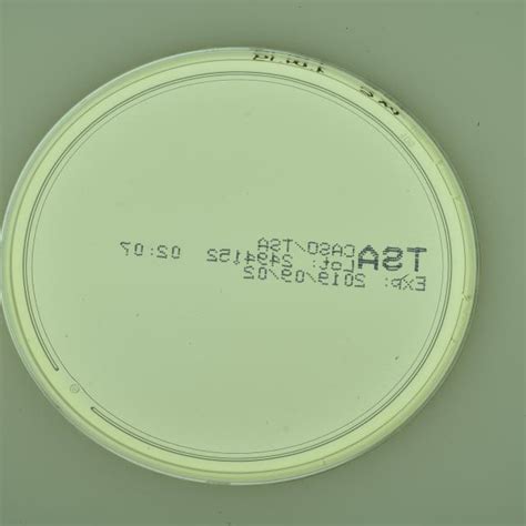 Fase Object Detection Dataset By Unitec