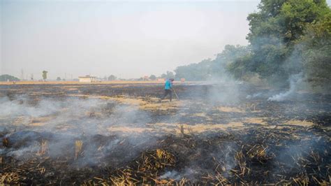 Farm Fires Share In Delhis Pollution 38 Highest This Season