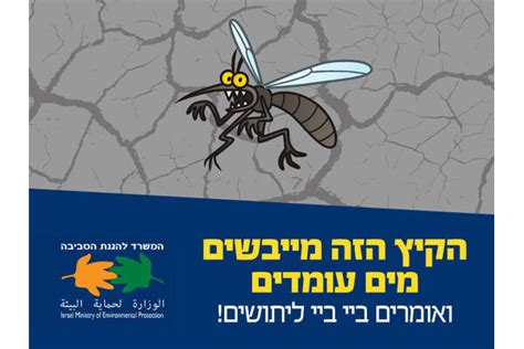 המשרד להגנת הסביבה לכד יתושות נגועות בנגיף קדחת מערב הנילוס בתל אביב משרד הבריאות עד כה נפטרו