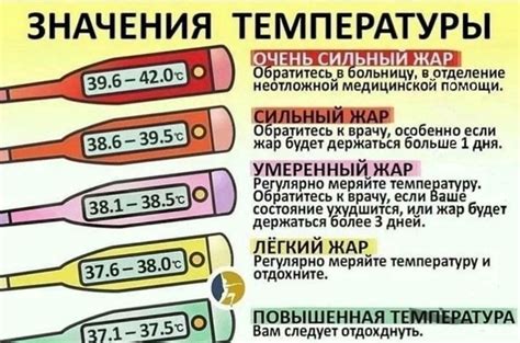 Какая температура тела нормальная? / Новости / Муниципальный округ Истра