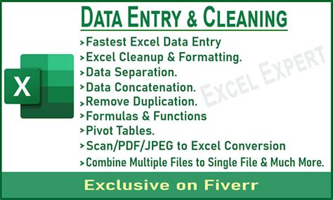 Perform Excel Data Entry Cleanup Formatting And Xlookup By Usmanali3819 Fiverr