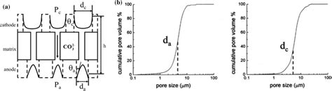 Fixed Volume Capillary Equilibrium Model Reproduced From Ref 20 Download Scientific Diagram