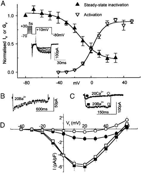 Biophysical Properties Of 1d Currents A Activation And Steadystate