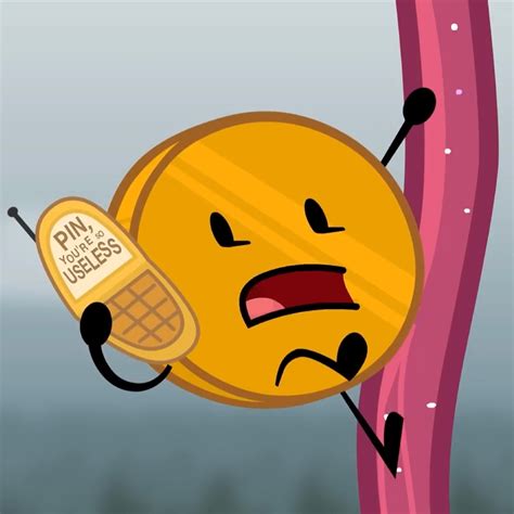 Coiny Bfdi