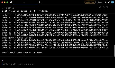Docker Prune A Complete Guide With Hands On Examples Datacamp