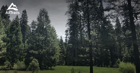 Best Hikes And Trails In Calaveras Big Trees State Park Alltrails