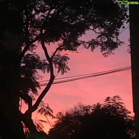 Ana Maria Orozco Gethu Cinema