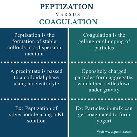 Difference Between Peptization And Coagulation Definition Process