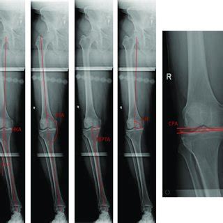 Functional Testing Algorithm FTA Download Scientific Diagram