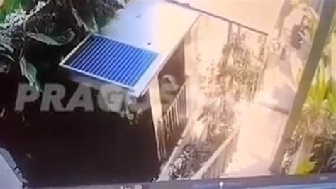 Bali Elevator Crash Video Shows Moment Lift Plunges Resulting In Five Deaths At Ayuterra Resort
