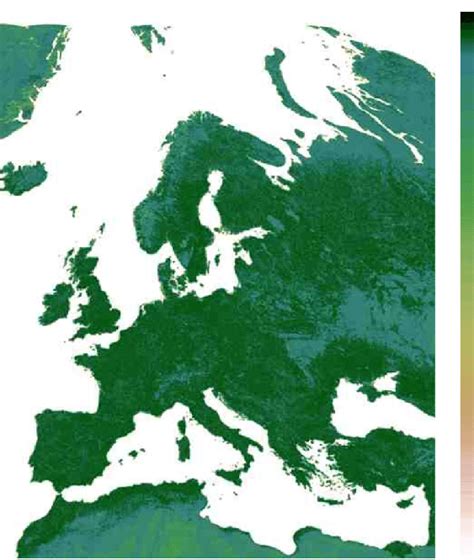 Rényi index computed over NASA NDVI of February 2013 Download