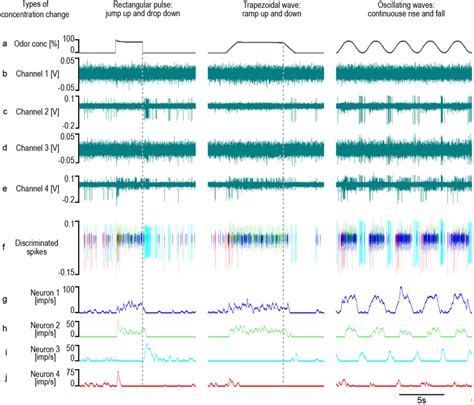 Example Of An Extracellular Tetrode Recording From Four Al Neurons Download Scientific Diagram
