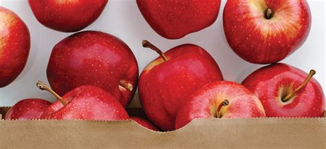 Getting To The Root Of Identity Root And Seed